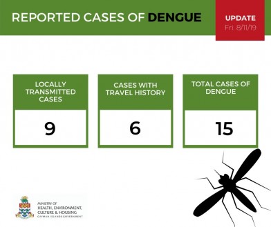 Seven new cases of Dengue Dengue Update as of 8 November 2019