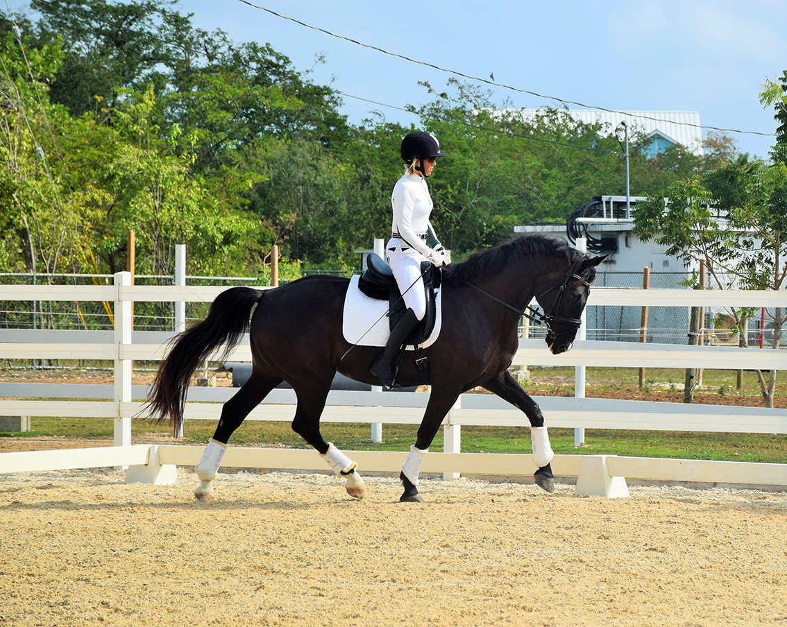 LOCAL RIDER WINS 2019 CHAMPIONSHIP IN INTERNATIONAL DRESSAGE COMPETITION
