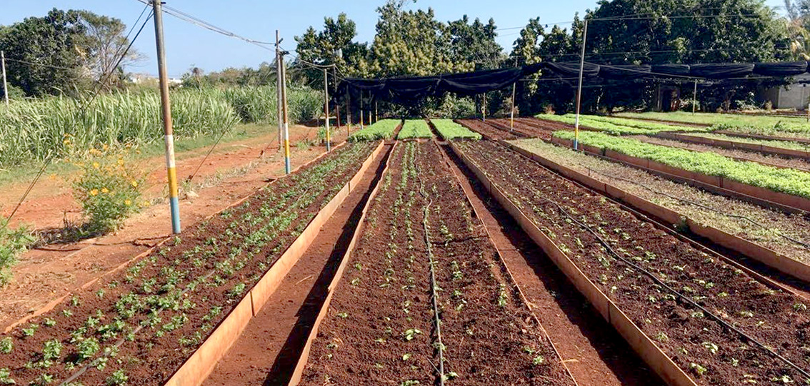 Cuba is most sustainably developed country in the world