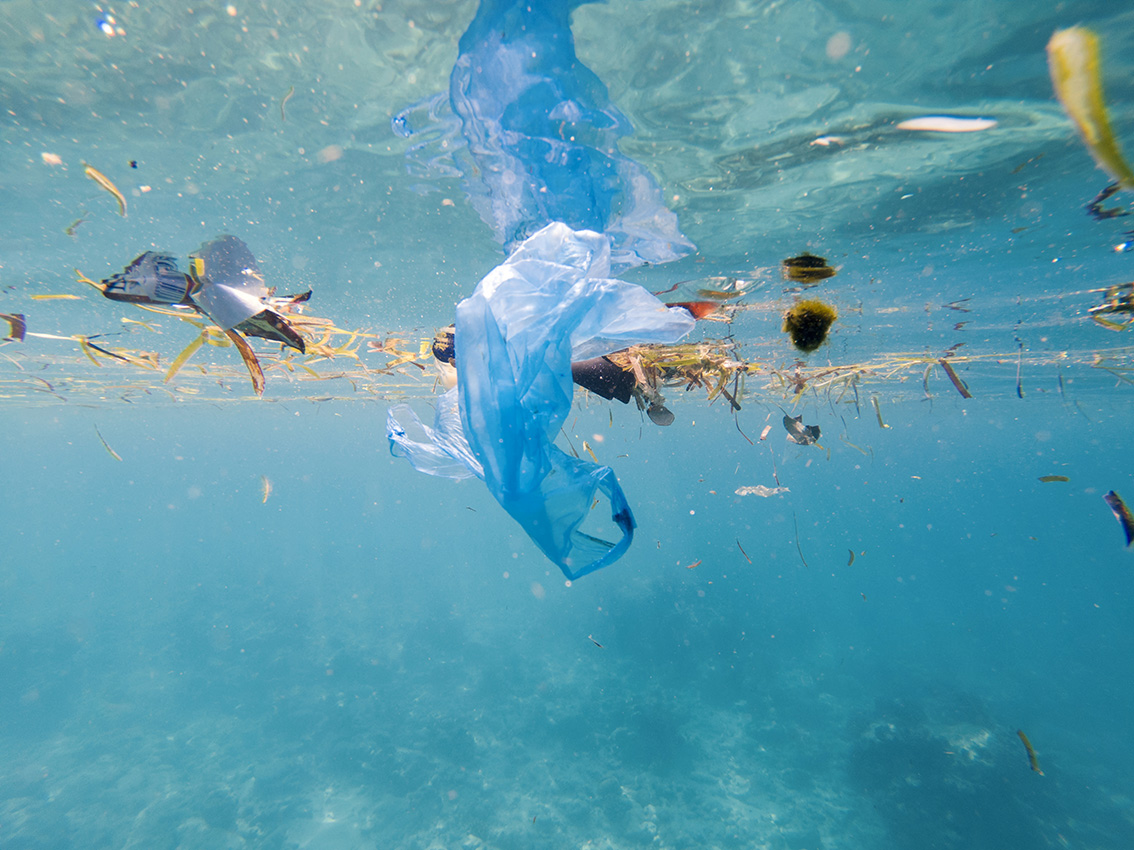 Single Use Plastics Stakeholder Committee proposes to Ban Certain Plastics