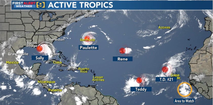 The Tropics are on Fire