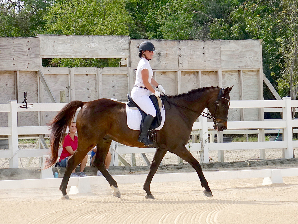 Trench and Serpell named High Point Champions