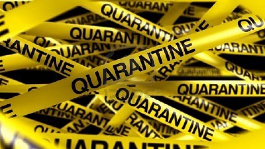 Quarantine Voting Protocols Confirmed
