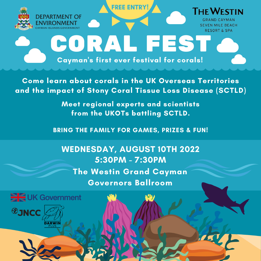 Festival to focus on coral loss