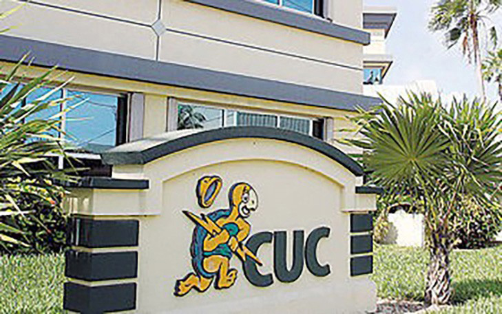 CUC report more customers but lower usage