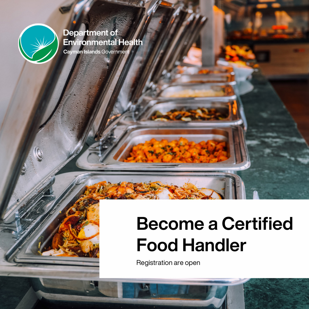 DEH Food Hygiene Training 2023